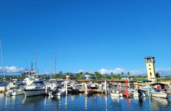 La Guancha – Visit Ponce